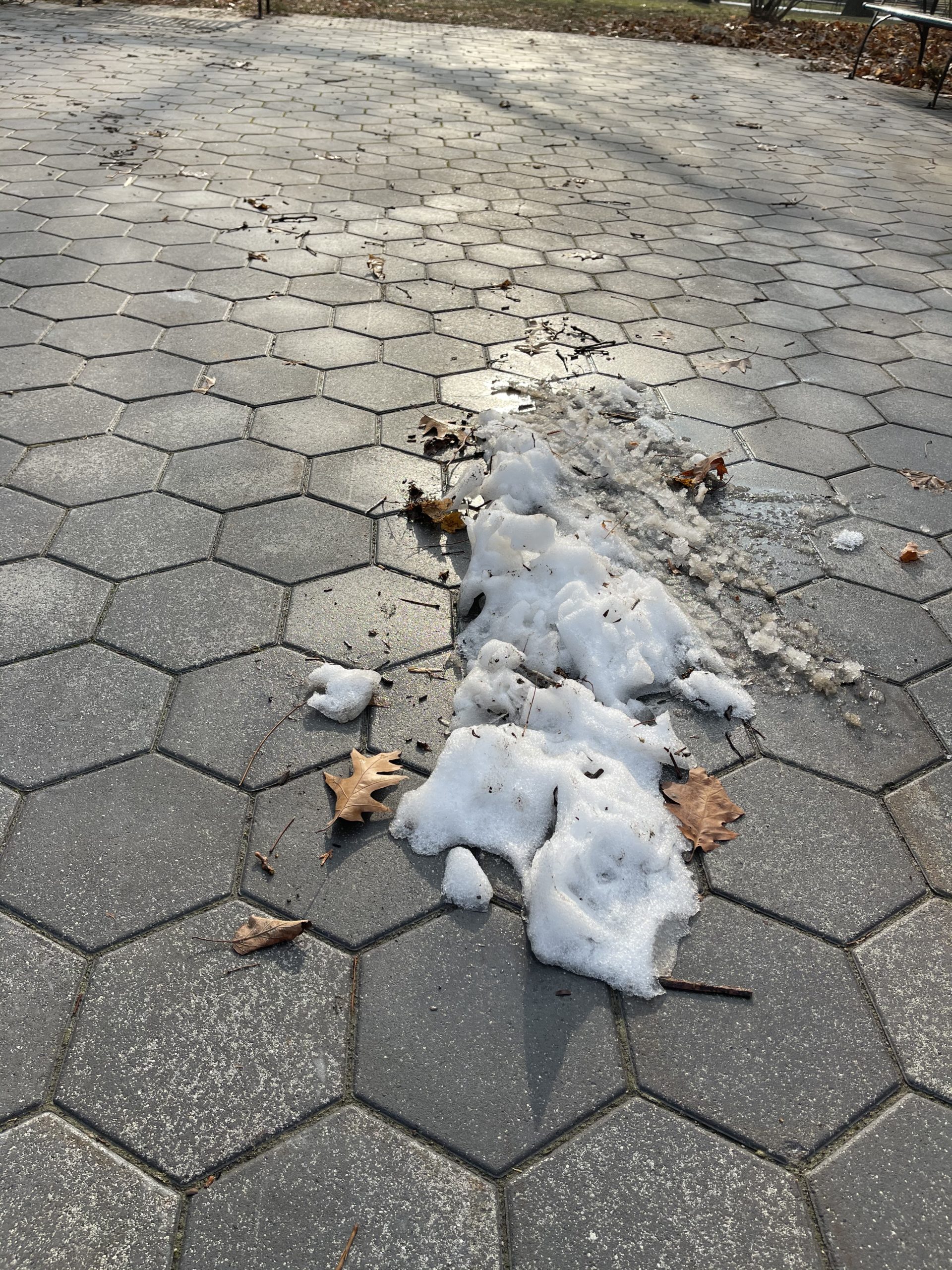 A Photo Essay of Toronto in December | Lydia Schoch
