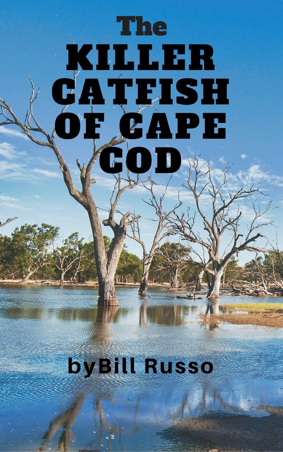 A Review of The Killer Catfish of Cape Cod | Lydia Schoch
